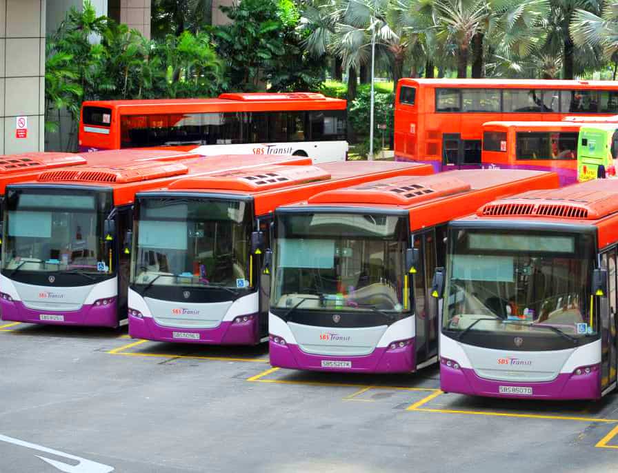Cara Naik Bus di Singapore yang Lengkap Anti Galau