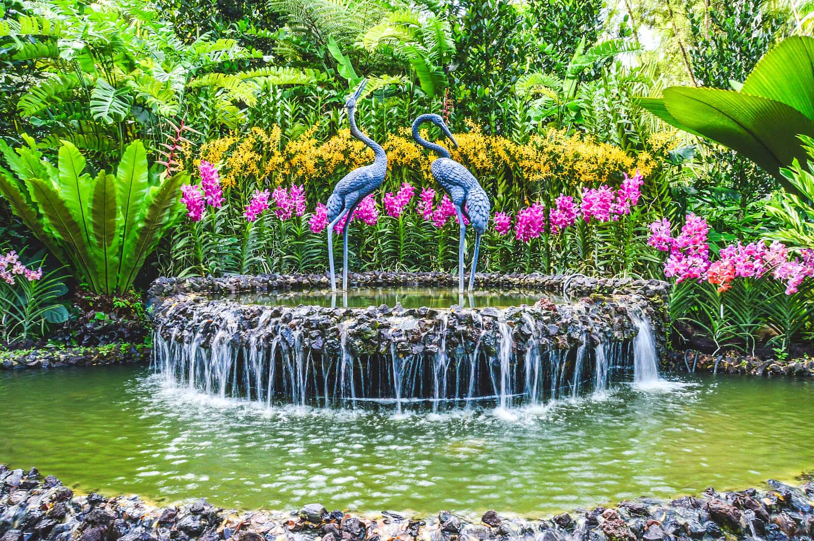 Taman Anggrek di Singapore The National Orchid Garden